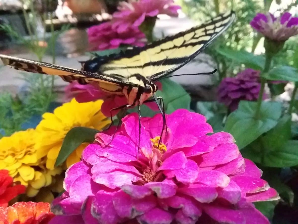 Jerome Lodging - Discover Jerome and the Verde Valley